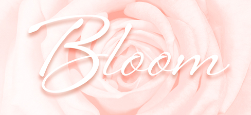 LIVE ON BLOOM - PE 2021 - Aldo Coppola